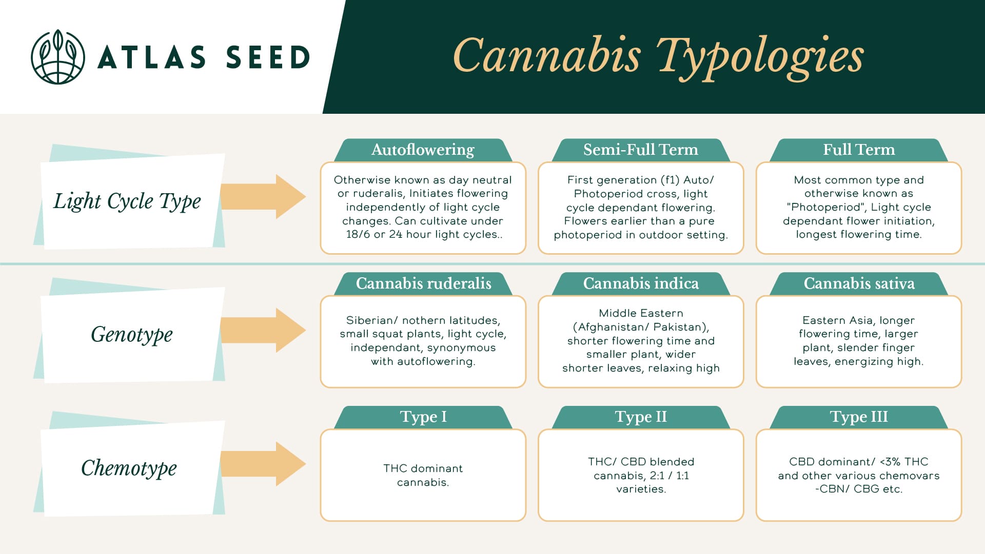 Cannabis Light Cycle Types • Atlas Seed Blog