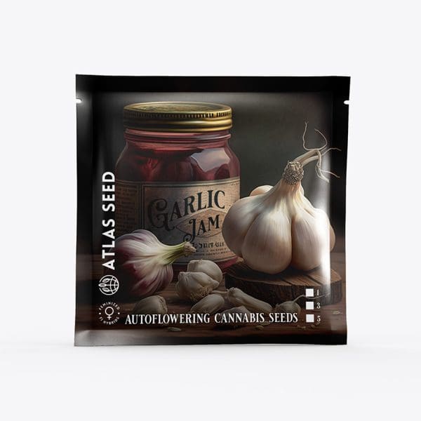 Garlic Jam Auto - Seed Pack • Atlas Seed