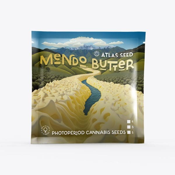 Mendo Butter - Seed Pack • Atlas Seed